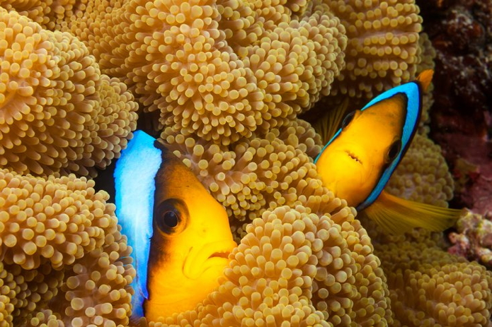 Bula - Welcome to Fiji! - Yacht Charter News and Boating Blog