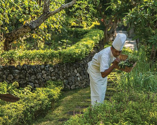 Learn to Cook like a Local in Bali! - Yacht Charter News and Boating Blog